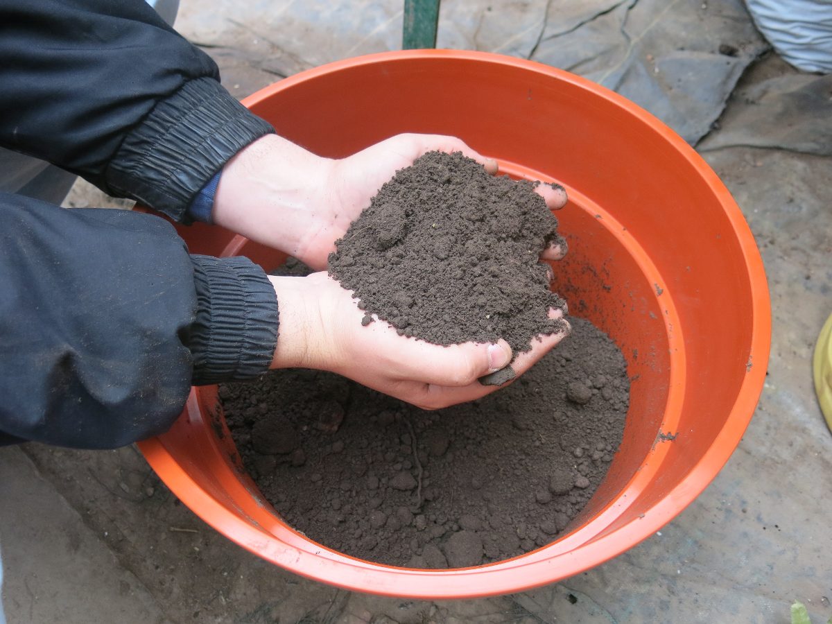 ¿Cómo transformar nuestra basura en tierra negra?