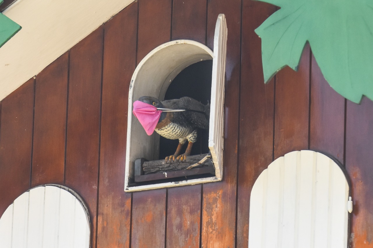 ¡El Cu-Cú también se cuida y apareció con barbijo!