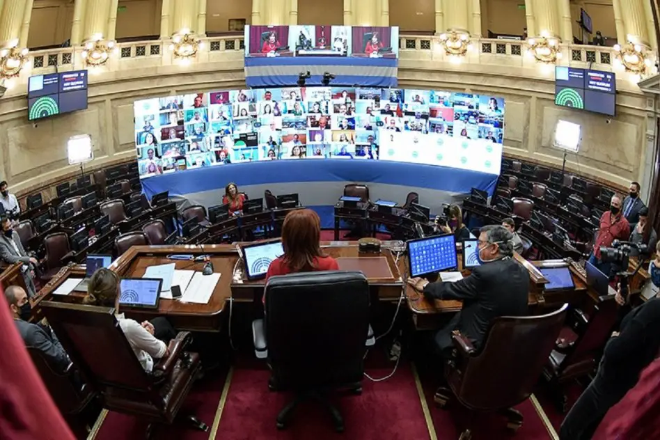 Senado y Diputados realizarán la primera sesión virtual | Carlos Paz Vivo