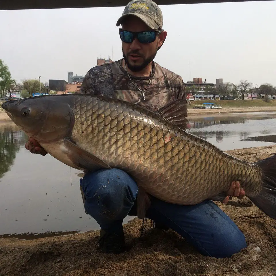 La Carpa Mas Grande Del Mundo