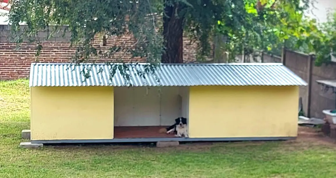 El sueño de la Cucha Propia