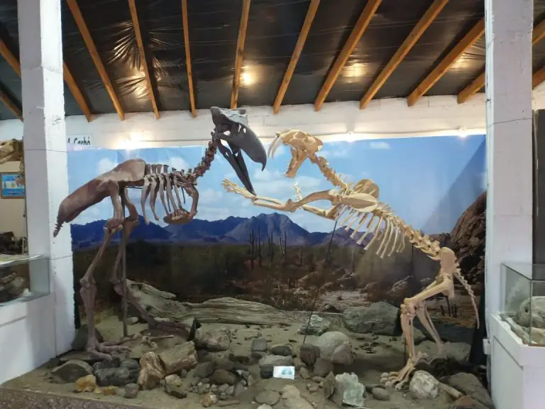 Icho Cruz: reabrió el Museo Histórico de la Memoria