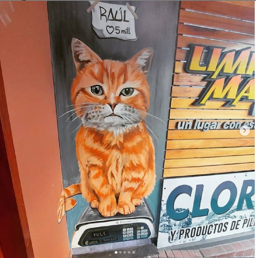 Raúl, el gato más famoso del centro, tiene un mural que lo recuerda