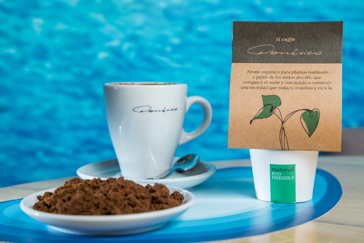 Café sustentable: Doménico suma otra novedosa idea para cuidar el ...