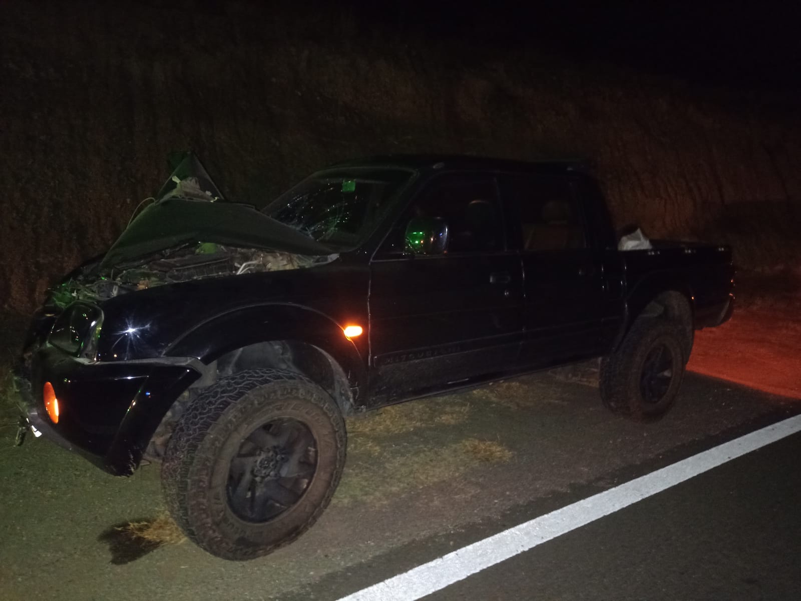 Animales sueltos en la ruta: Una pareja se salvó de milagro tras ...