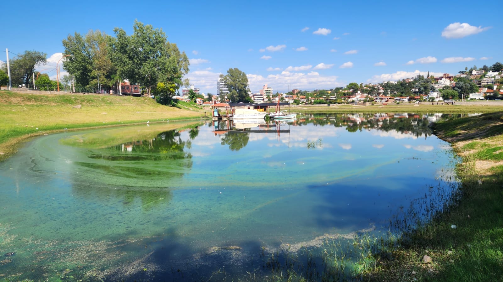 El olor nauseabundo del lago y el calor volvieron insoportable el ...