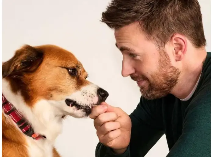 Día mundial del perro sin raza: Qué famosos adoptaron mestizos