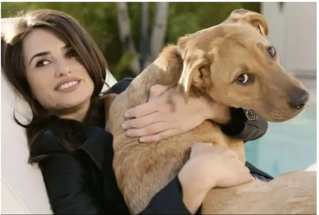 Día mundial del perro sin raza: Qué famosos adoptaron mestizos