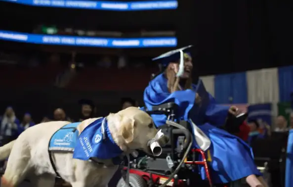 Se recibió de maestra y su perro guía recibió el diploma