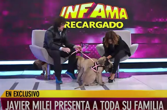 La gran pasión de Milei por sus perros:"Son mi familia"