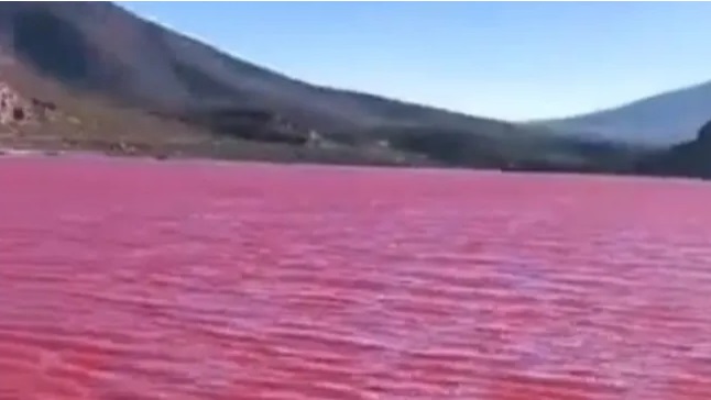 ¿Por qué el Río Nilo se tiñó de rojo?: especulaciones bíblicas y ...
