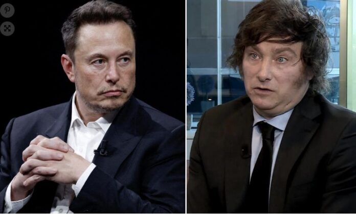 Elon Musk opinó sobre Milei y el presidente electo le respondió ...