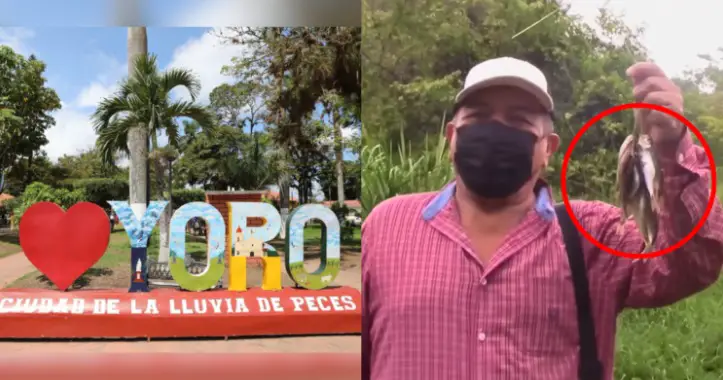 ¿Se trata de un milagro?: Yoro, la ciudad hondureña donde "llueven ...