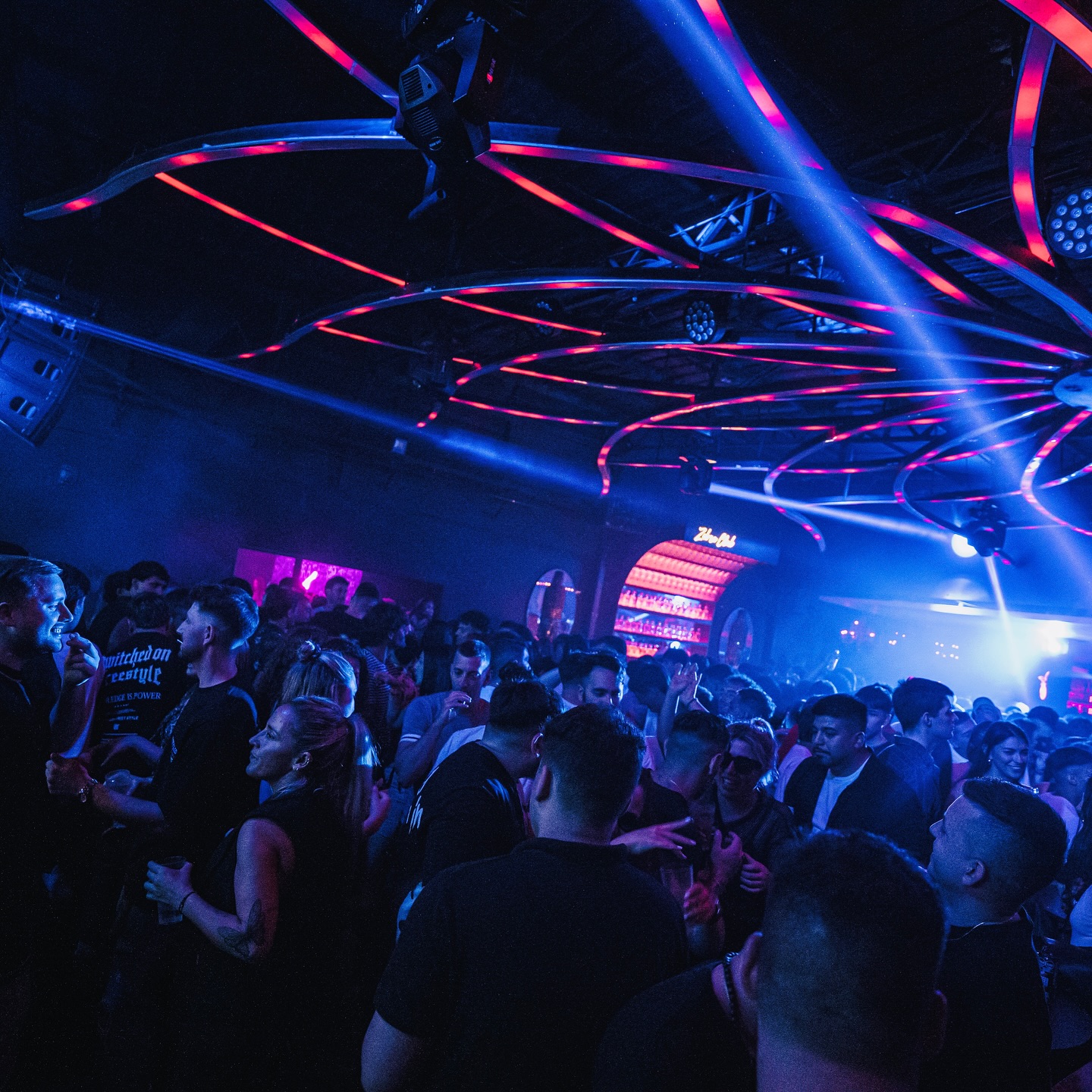 2025 es el año de la fiesta: Los 25 años de Zebra Club, la disco que ...